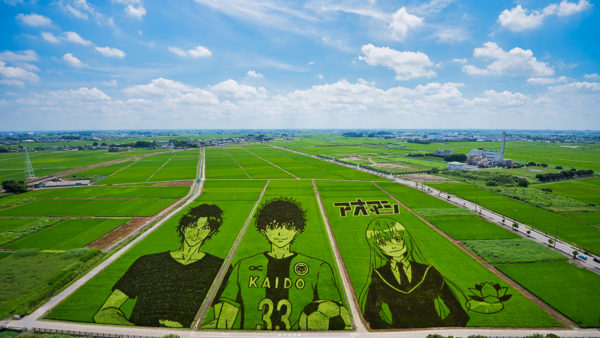 埼玉県行田市 | 田んぼアートニッポン