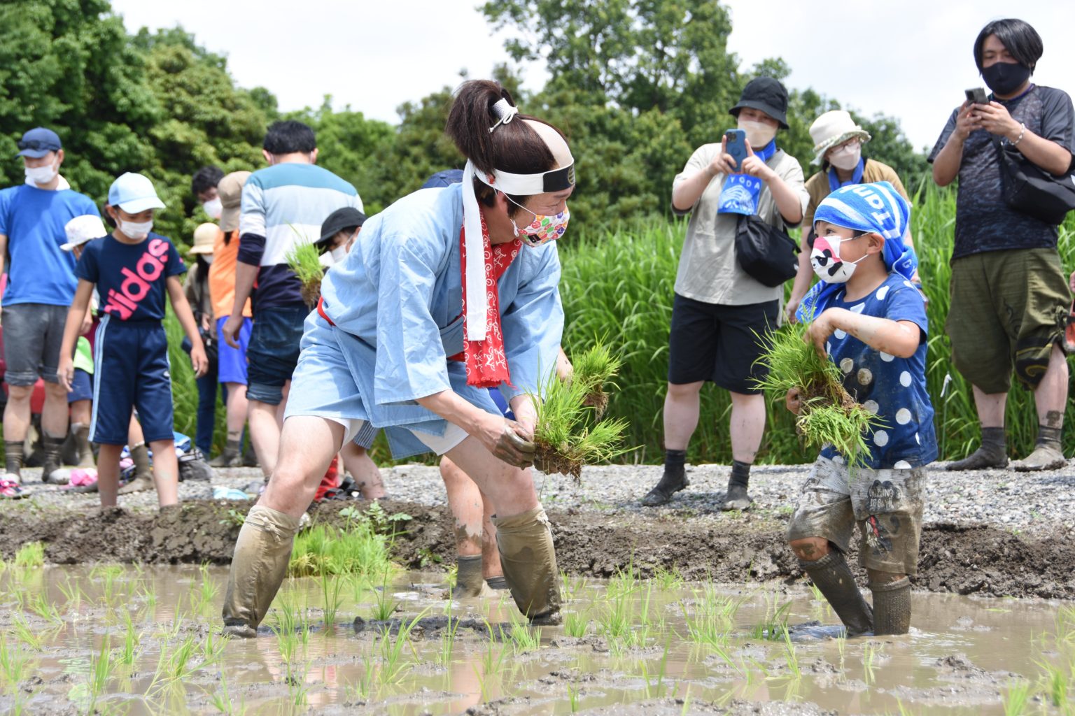 埼玉県行田市 | 田んぼアートニッポン