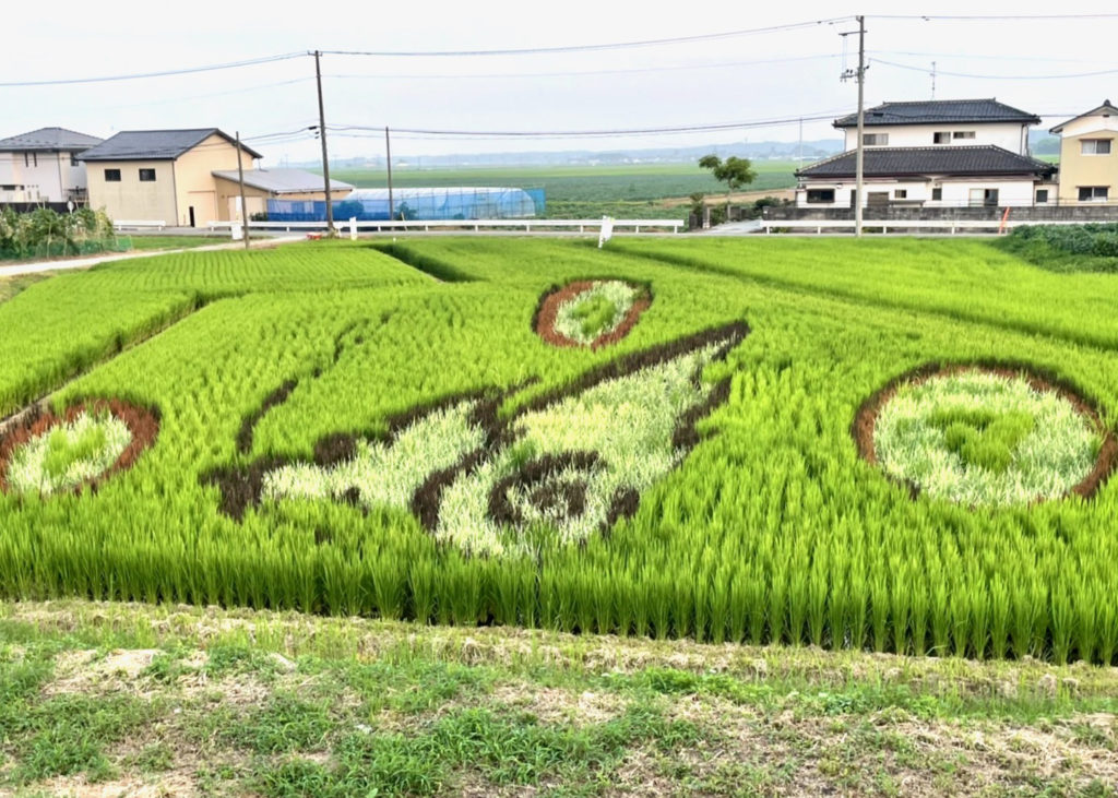 福島県相馬市 | 田んぼアートニッポン