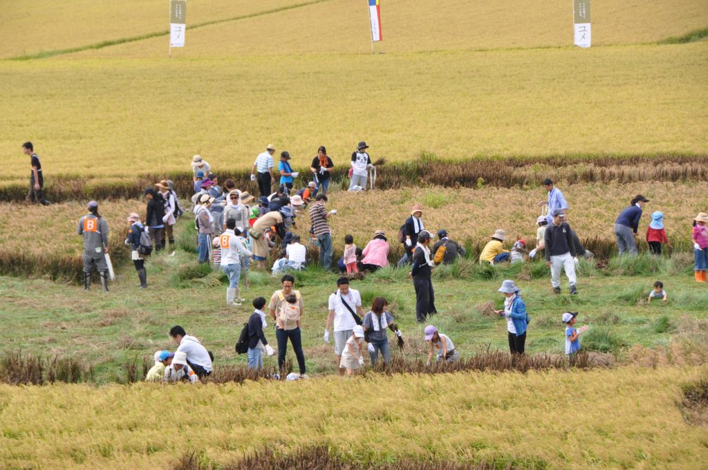 愛知県安城市 | 田んぼアートニッポン