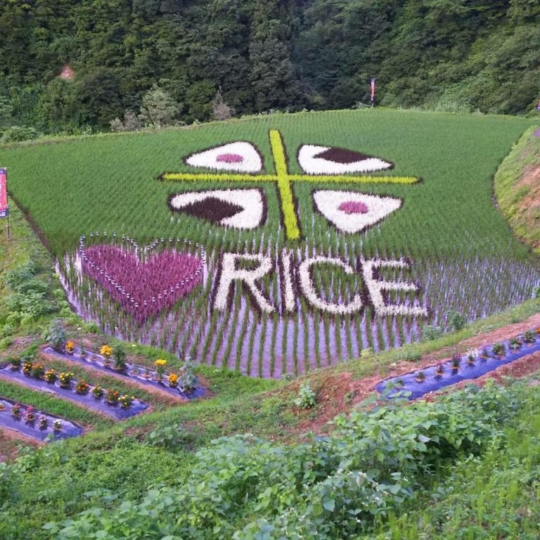 新潟県十日町市 | 田んぼアートニッポン