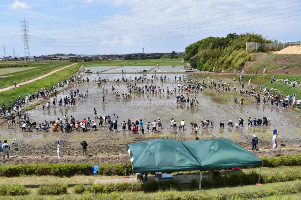 愛知県安城市 | 田んぼアートニッポン