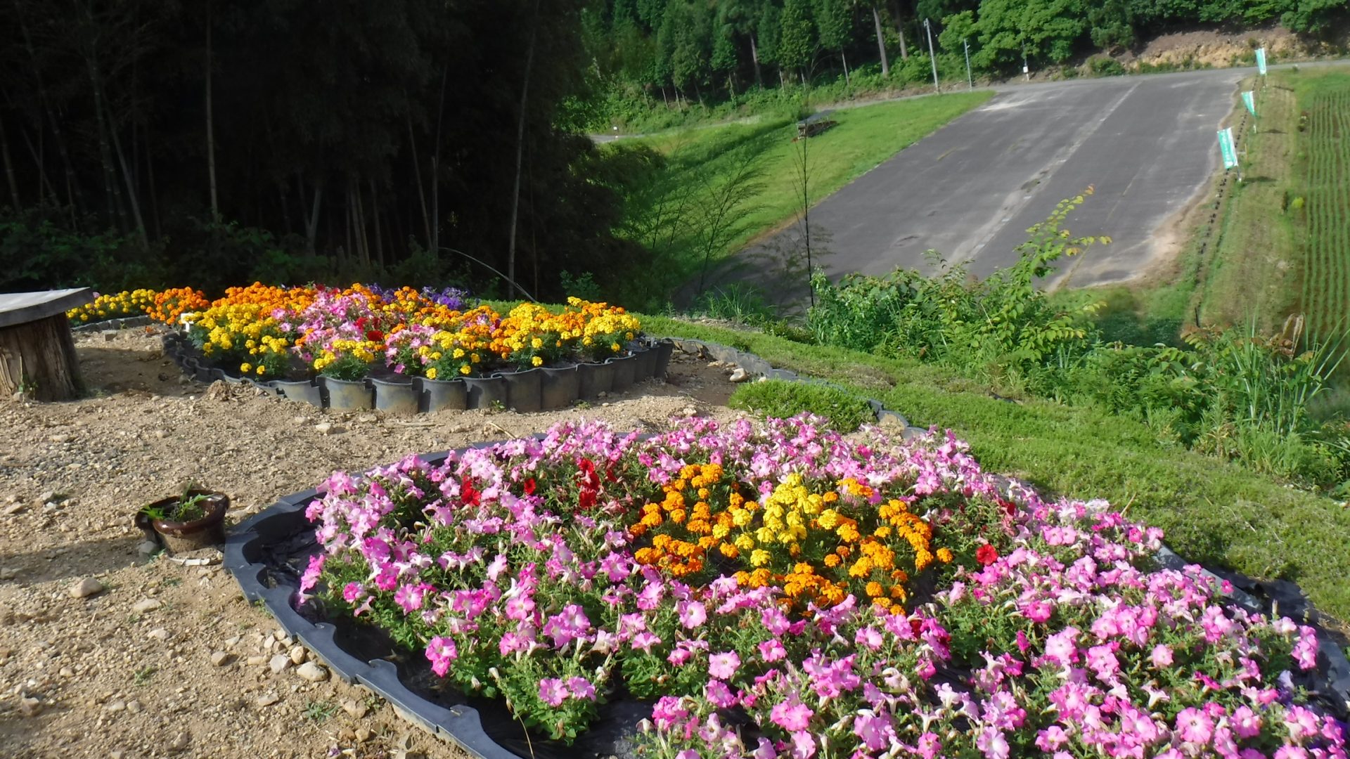 展望台の花壇 | 田んぼアートニッポン